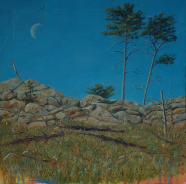 Landscape Painting | foothills of Boulder | Moon Over Setting Colorado ...
